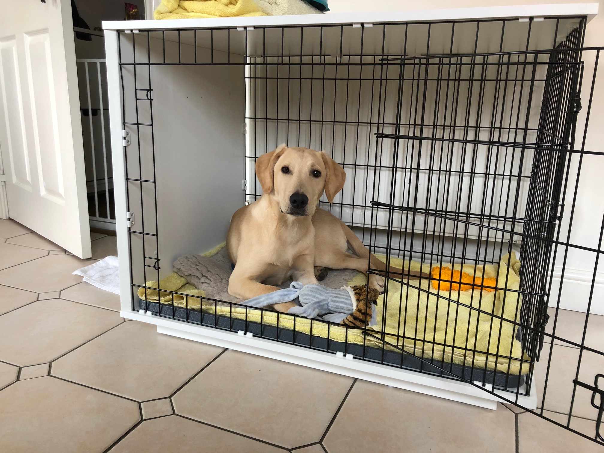 De Fido Studio hondenbench | Hondenbenodigdheden | Omlet