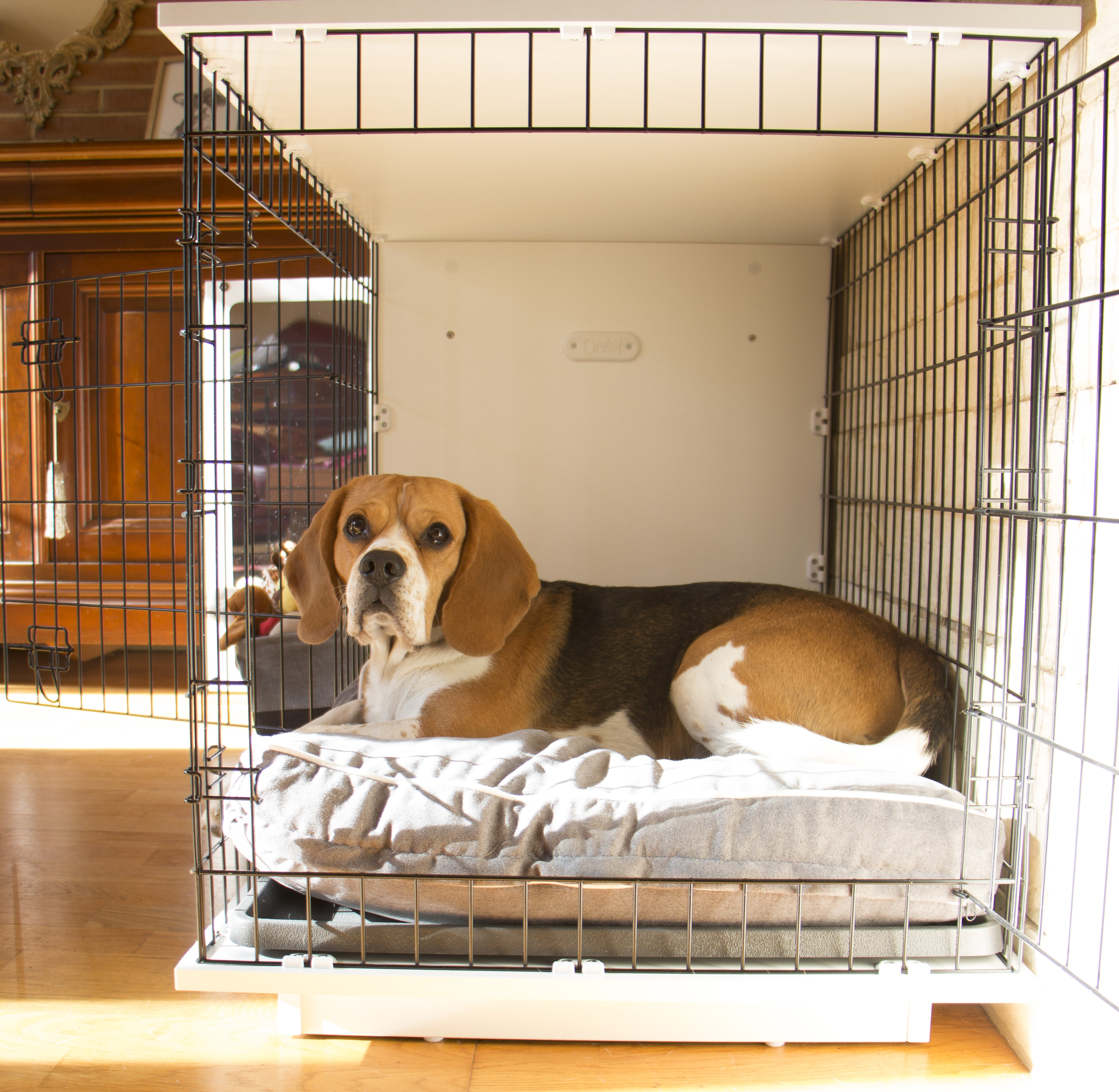 De Fido Studio hondenbench | Hondenbenodigdheden | Omlet